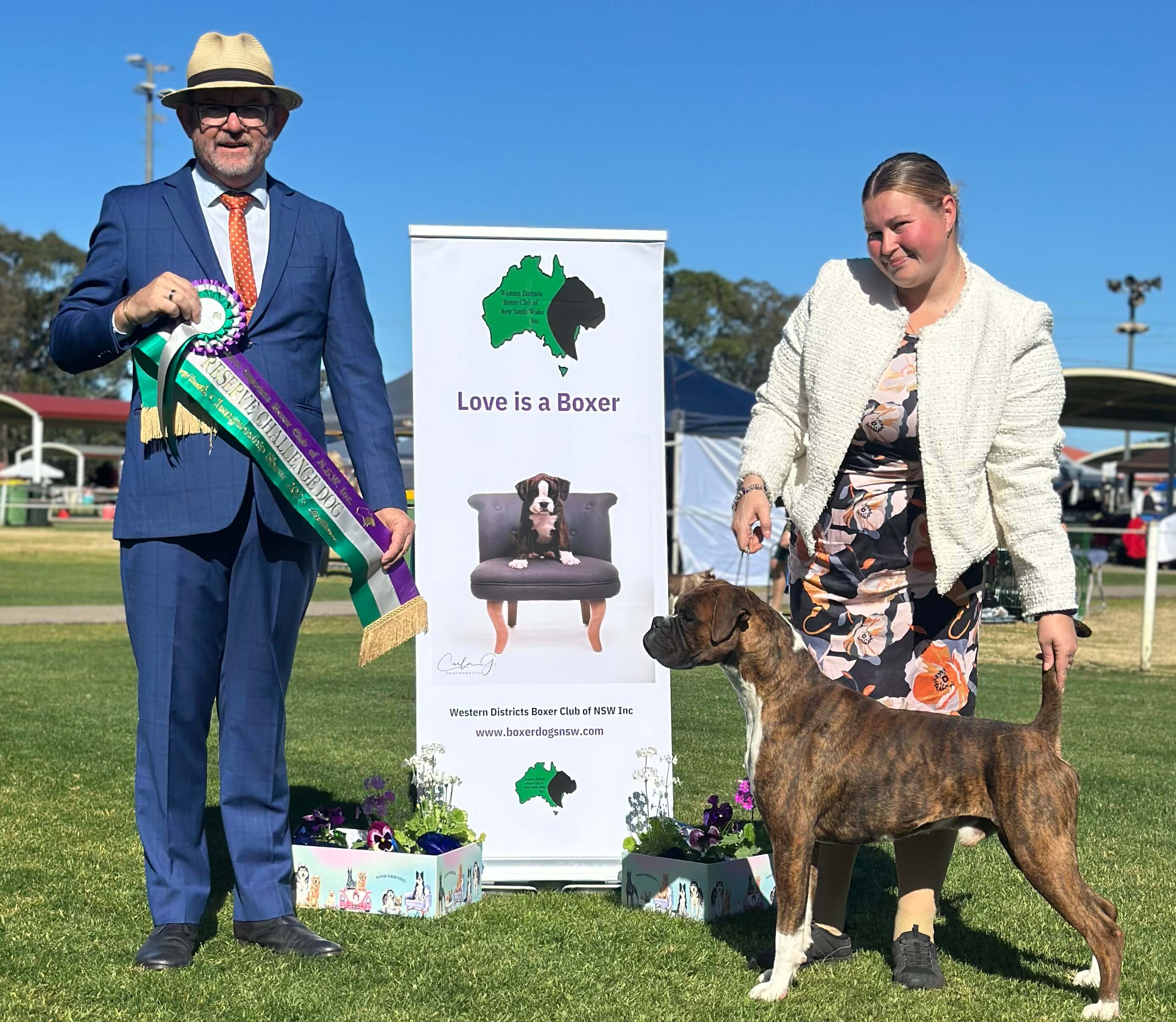 Ch Bocsavil Zabeel Boxer - Owned by M & J Carey