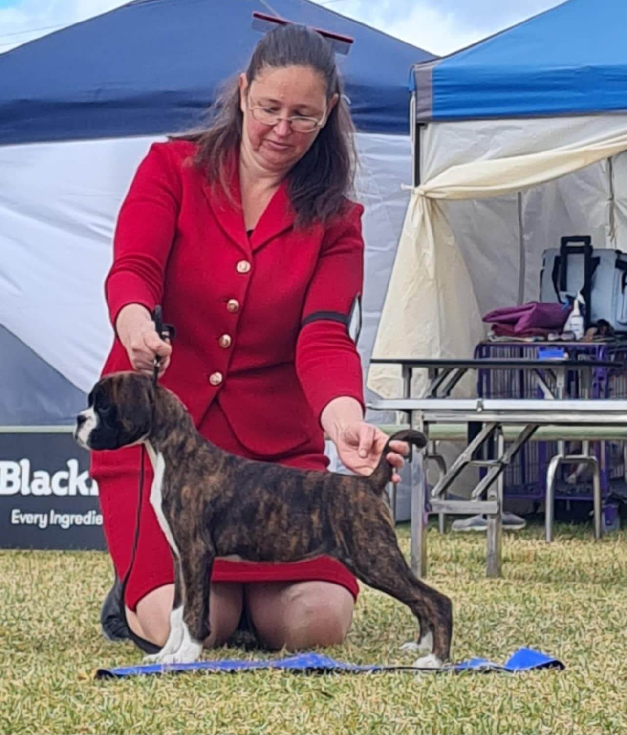 Bocsavil Do U Believe In Magic Boxer - Owned by M & J Carey