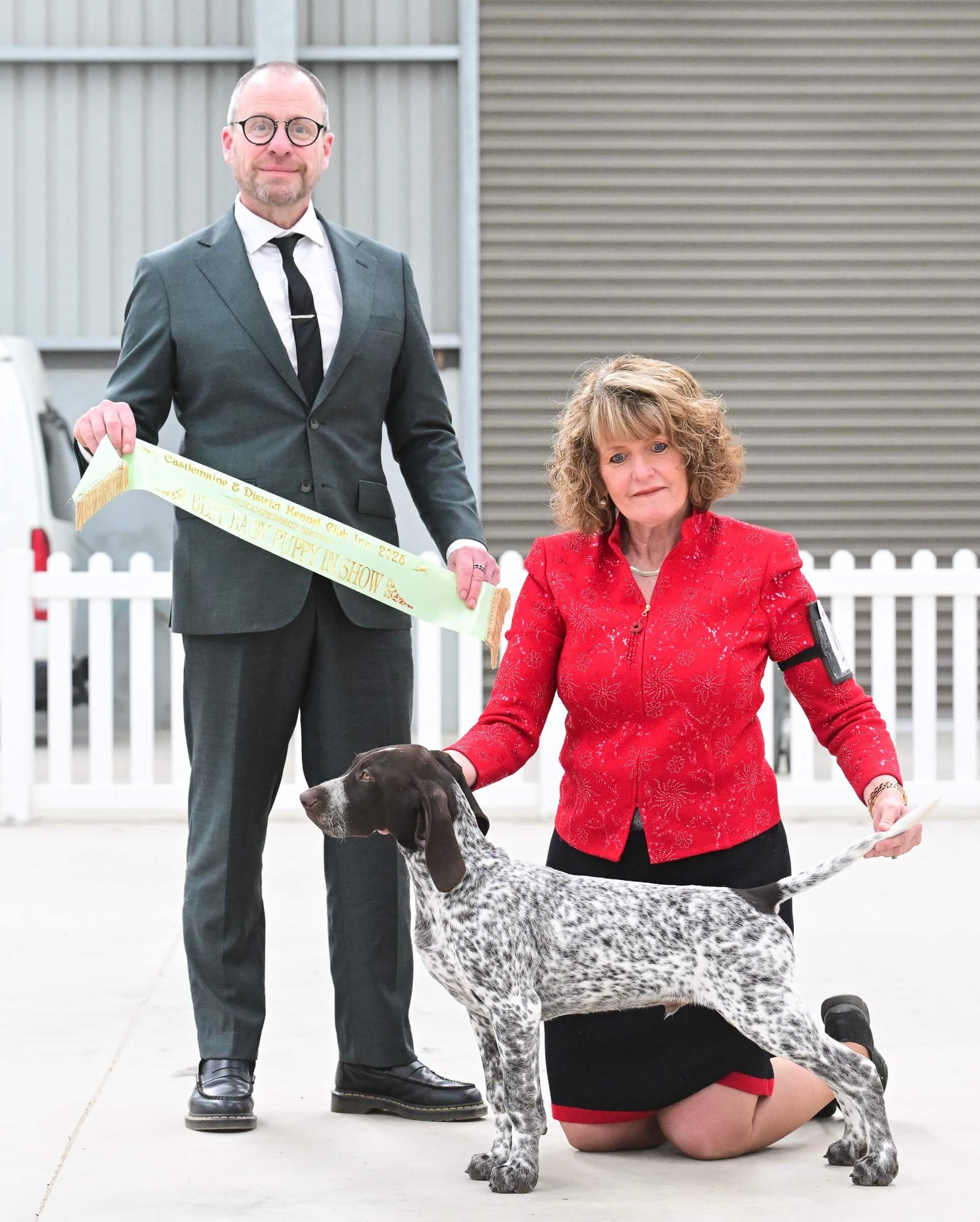 Demorz Dream Big Fly High German Shorthaired Pointer - Owned by Mrs D Moran